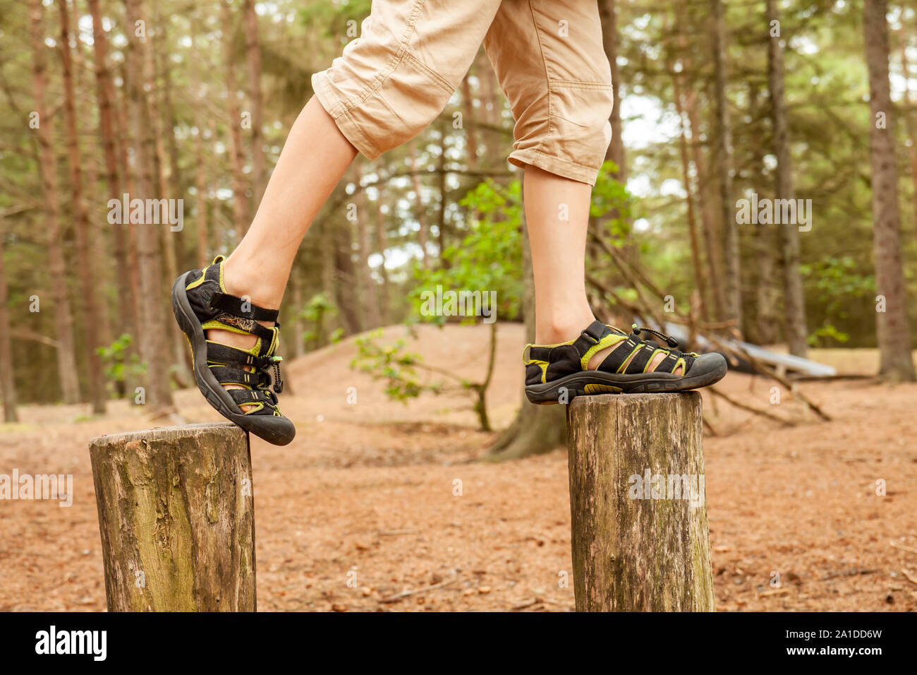 Boy balancing on trees - jumping from one to the other Stock Photo - Alamy