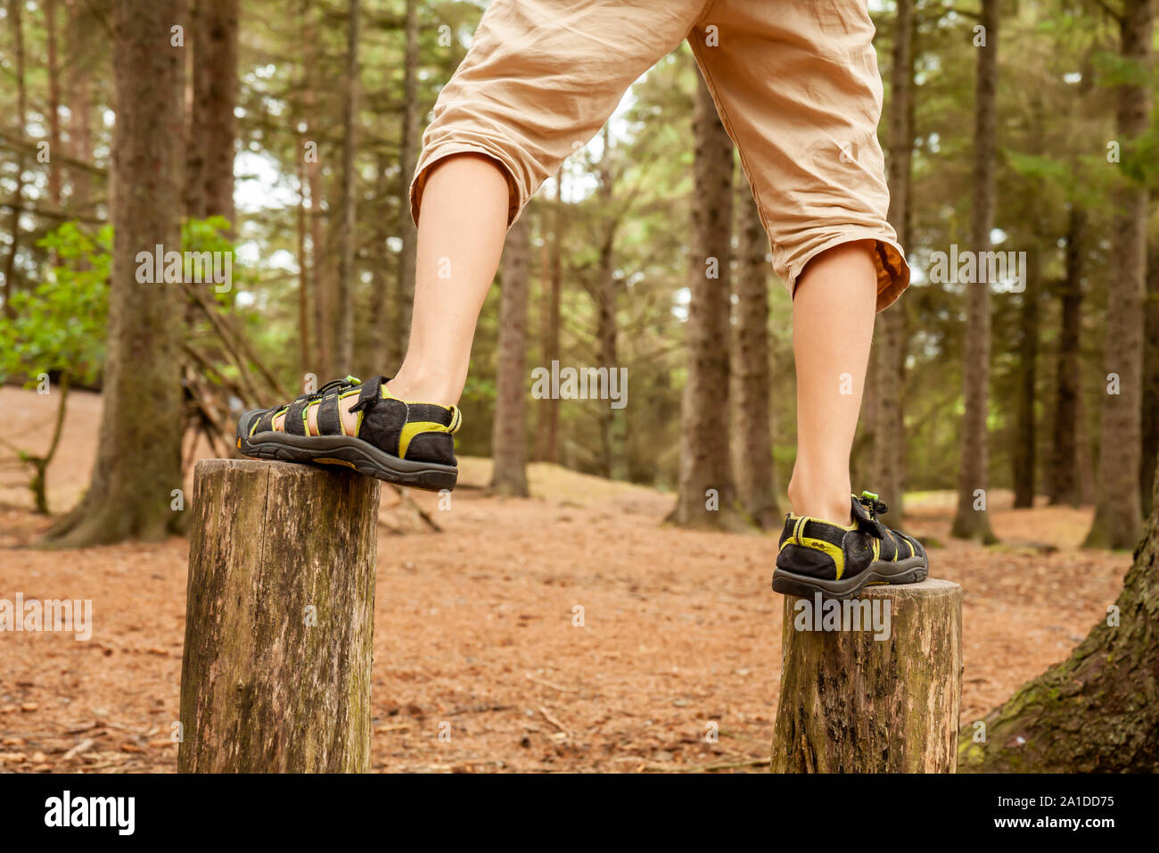 Boy balancing on trees - jumping from one to the other Stock Photo - Alamy
