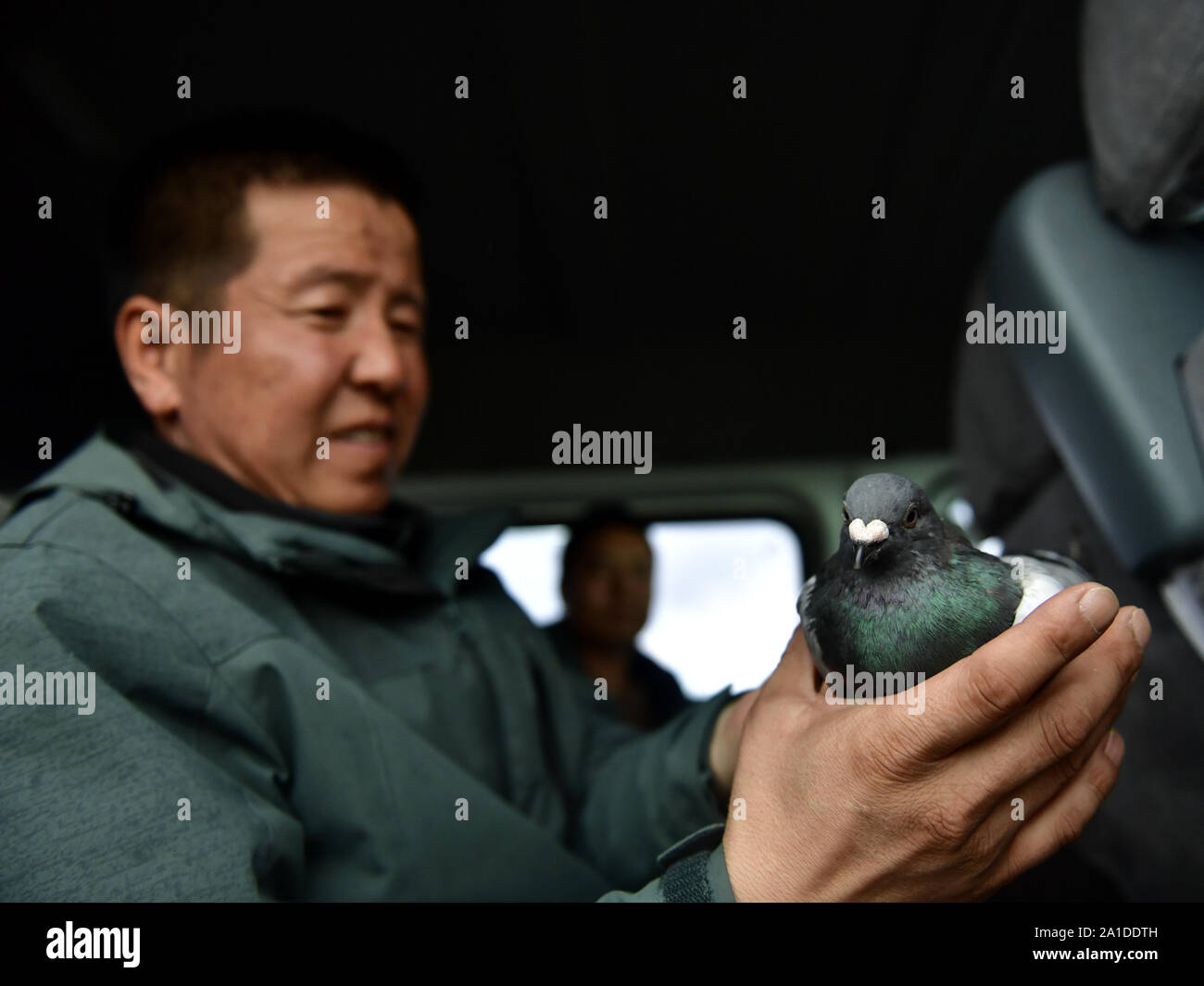 Yanming lake hi-res stock photography and images - Alamy