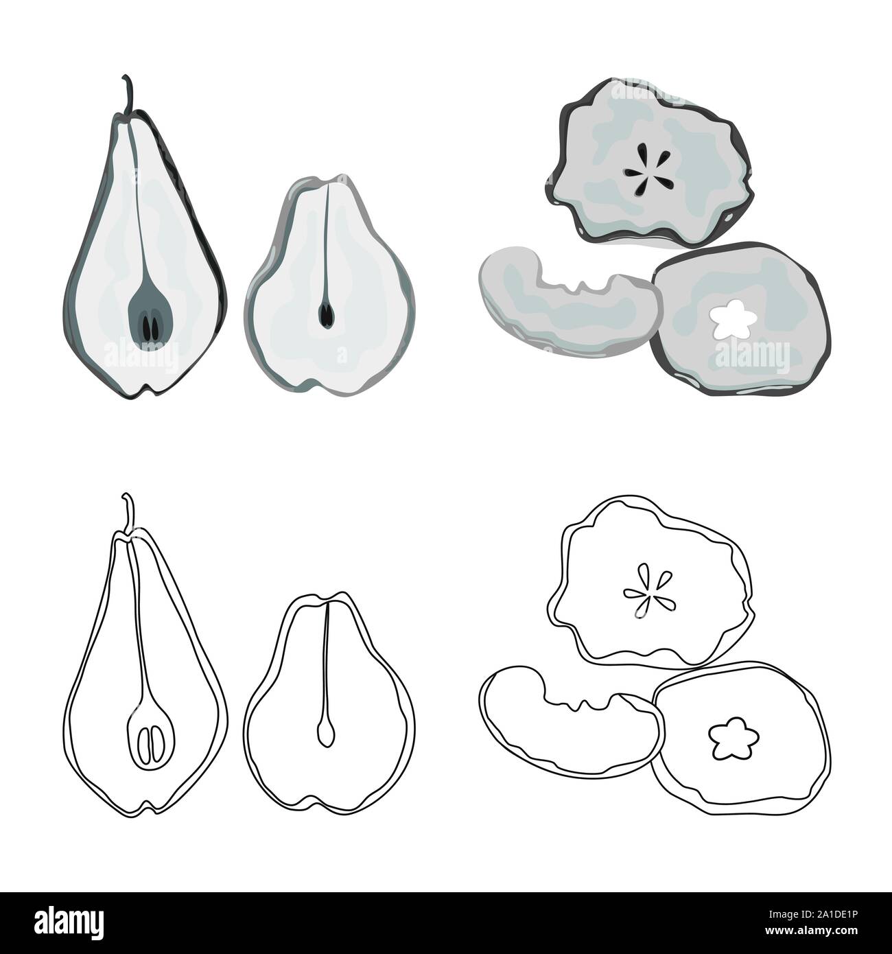 Vector illustration of food and raw logo. Collection of food and nature ...