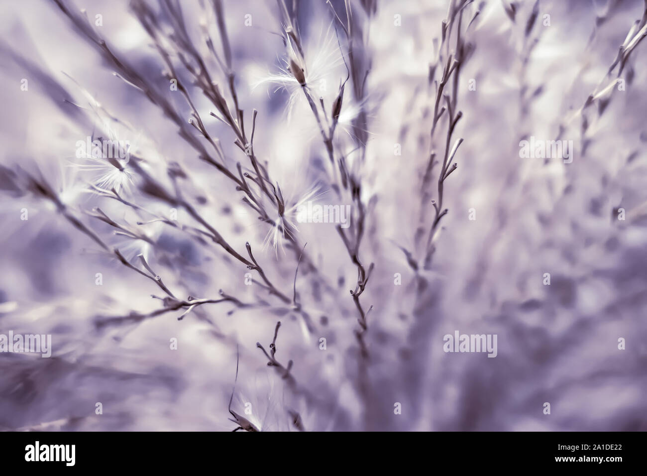 Rural landscape, pastel backdrop and environmental design concept ...