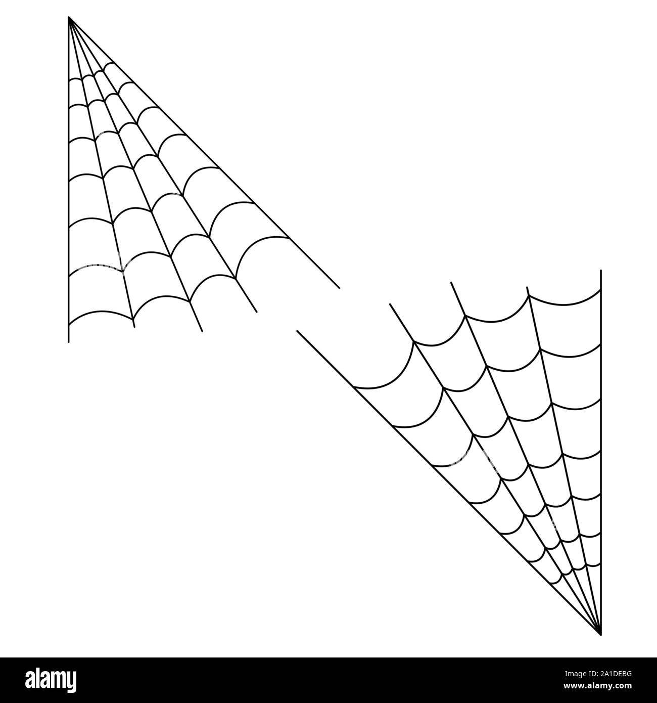 drawing of scary spider web on white background vector illustration ...