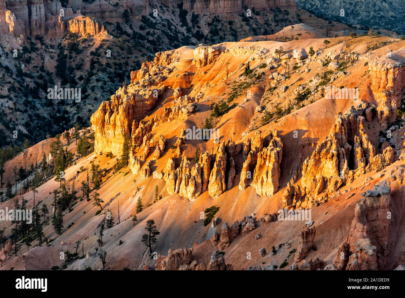 Aerial view from famous Bryce Point overlook of orange colorful cliff ...