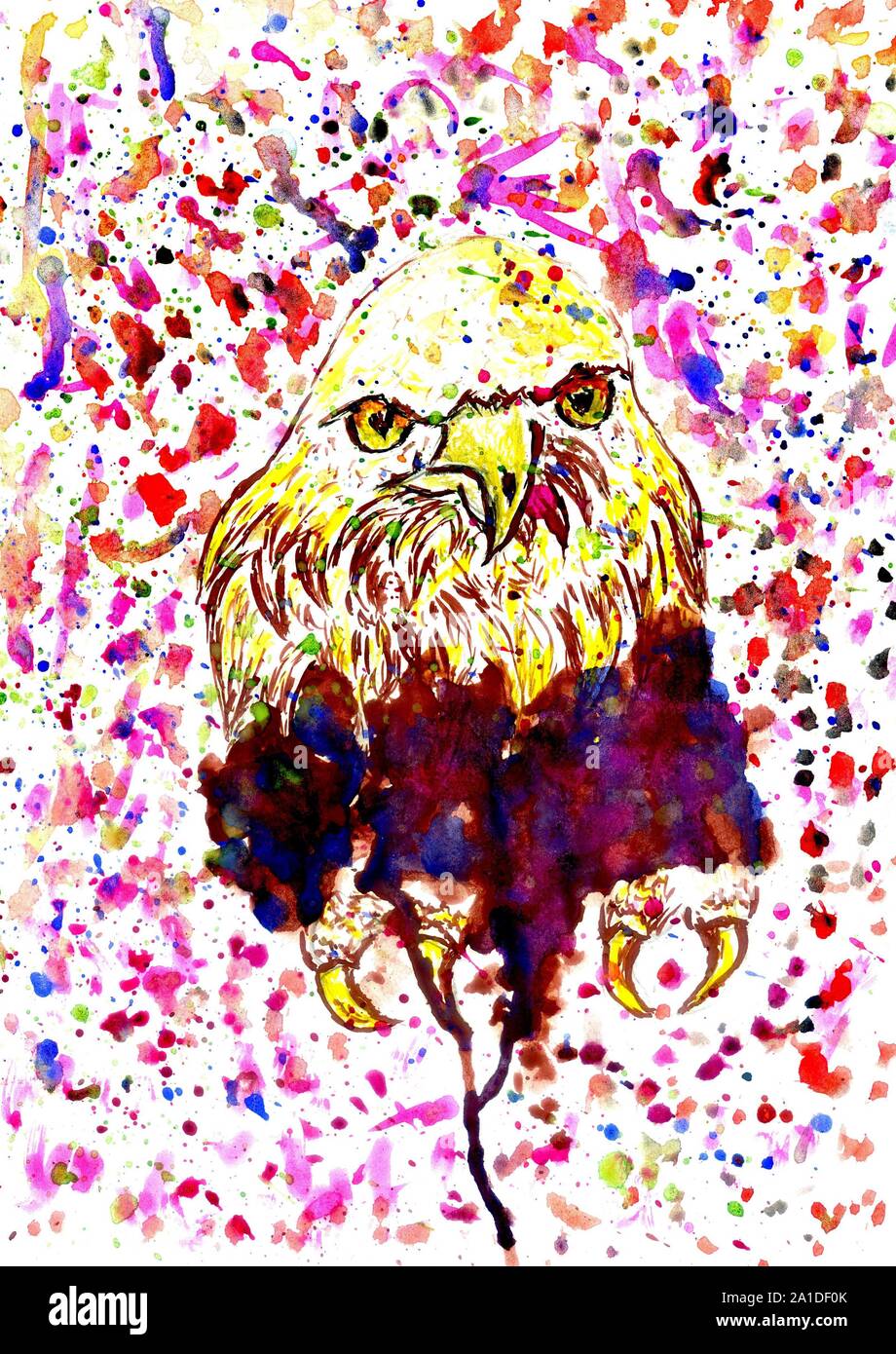 Hand drawn grunge sketch illustration of eagle with paint splatters ...