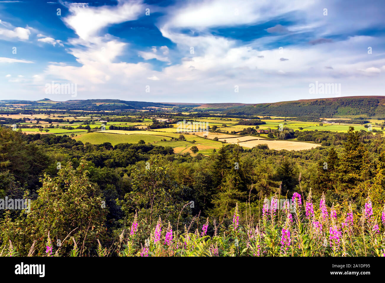View from Claybank, North Yorkshire Moors, Stokesley, England Stock ...