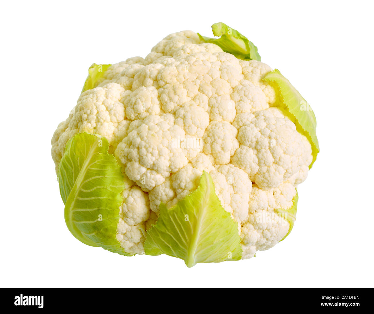 One White cauliflower isolated on white background Stock Photo - Alamy