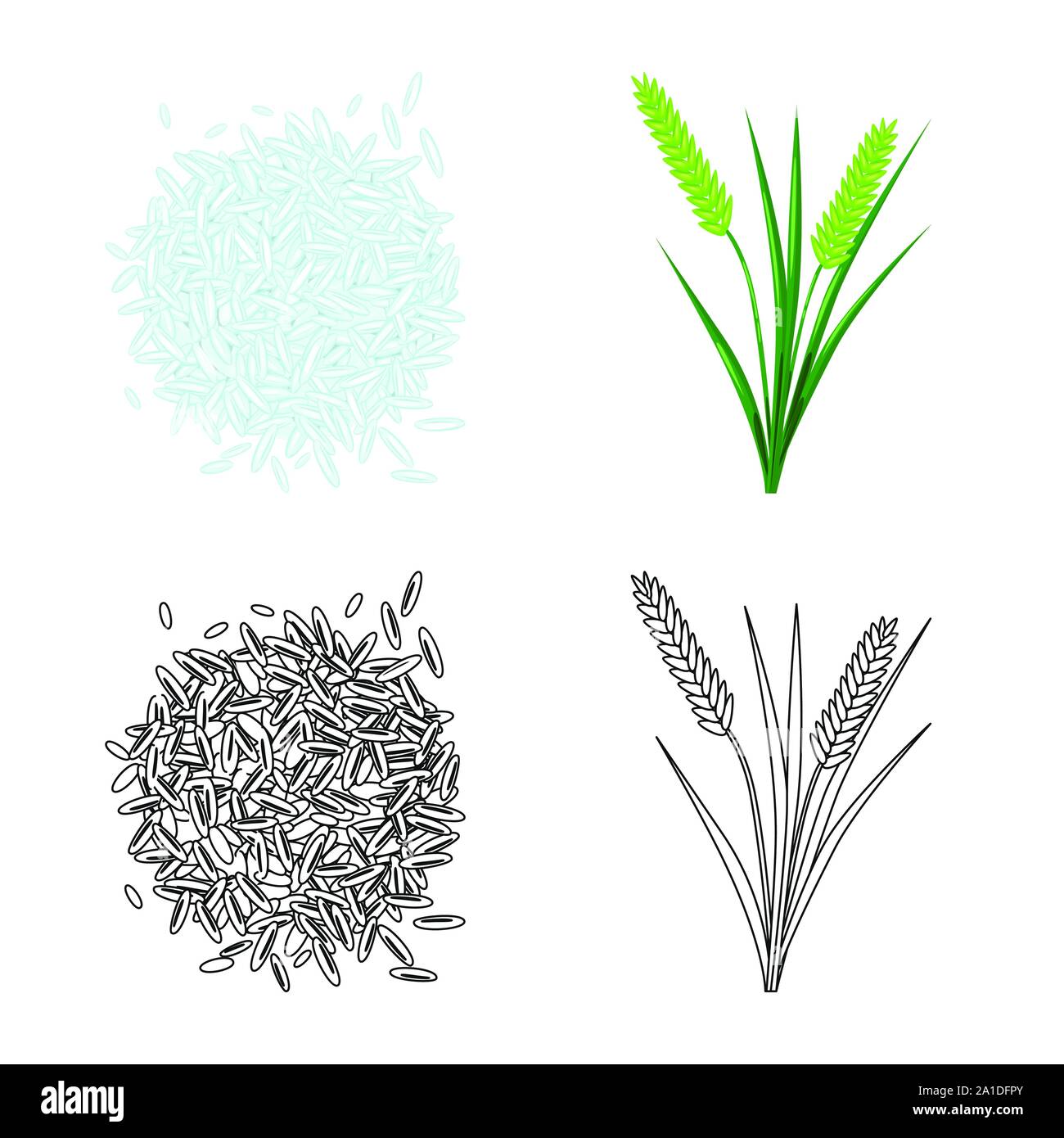 Vector design of crop and ecological icon. Set of crop and cooking ...