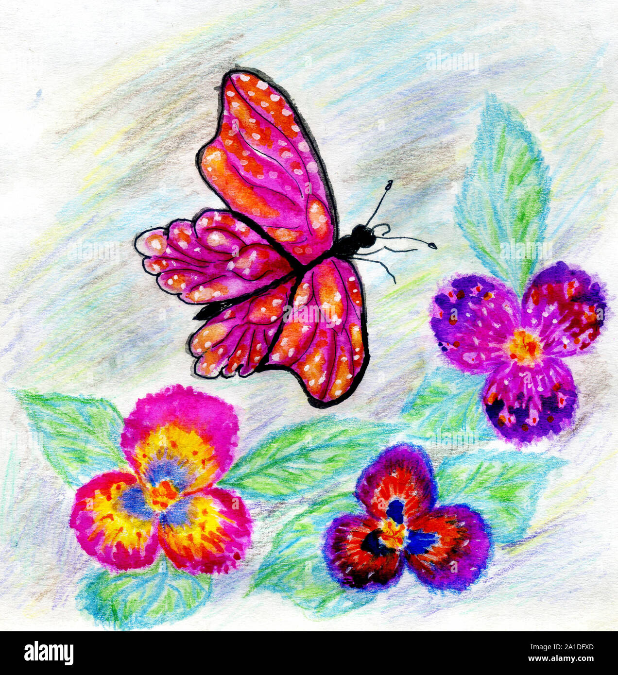 Watercolor of the bright butterfly, hand drawn illustration Stock Photo ...