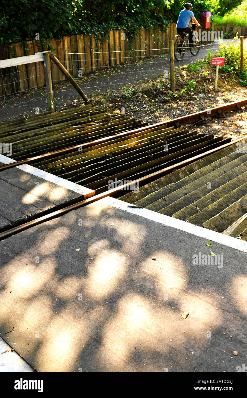 Dapple effect hi-res stock photography and images - Alamy