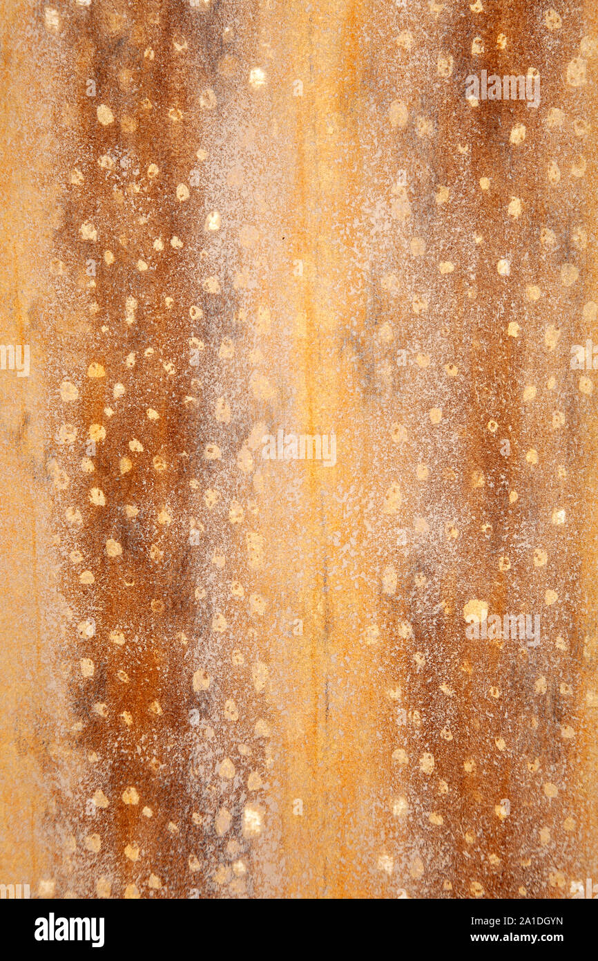 Painted Abstract Animal Skin Textures Stock Photo - Alamy