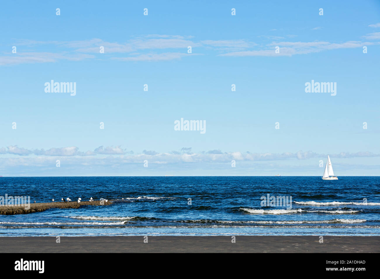 Norderney, Nordstrand, Strand, Seevoegel, Bune, Meer, Himmel, bewoelkt ...