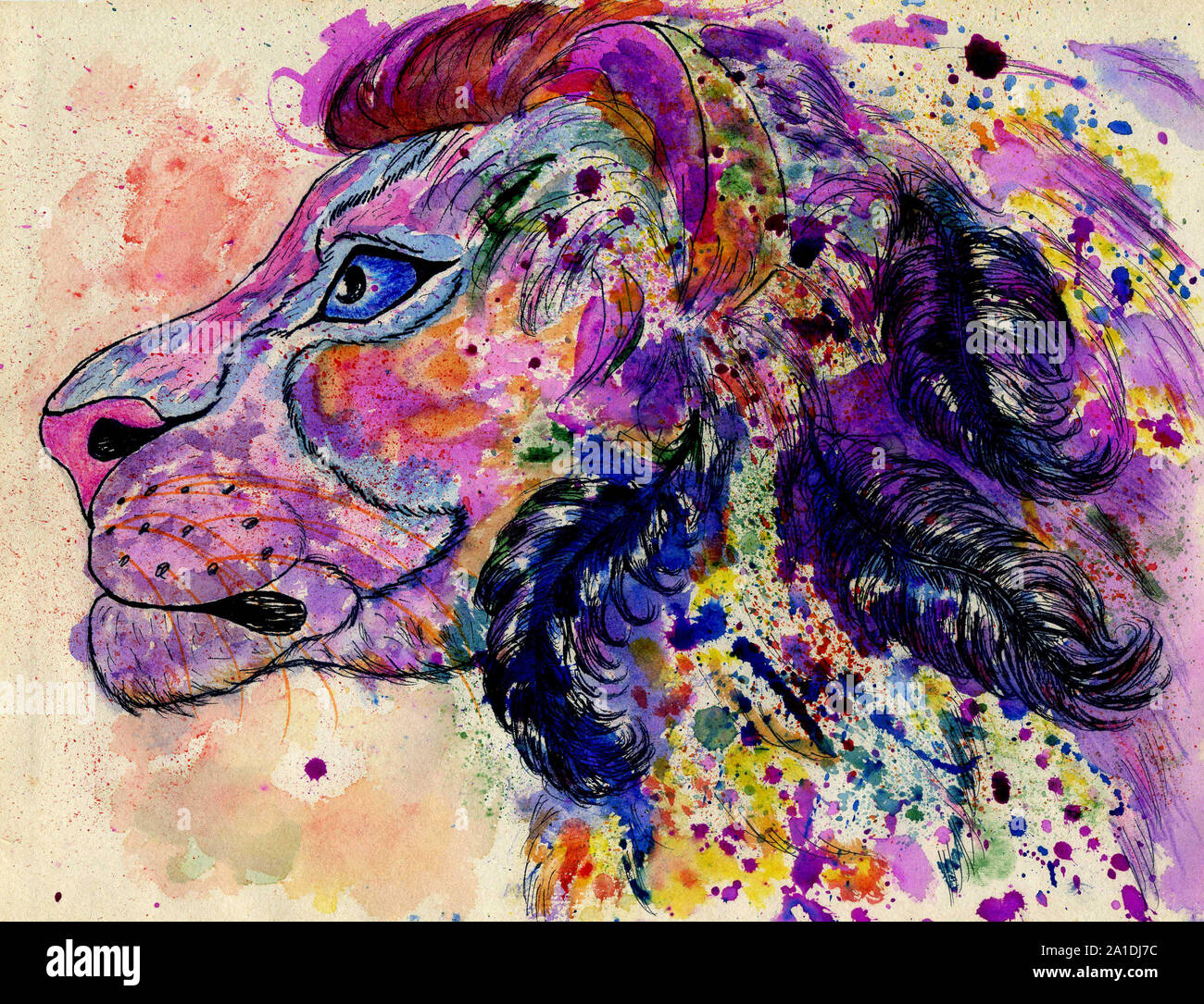 Stylized hand drawing sketch of male lion head Stock Photo - Alamy