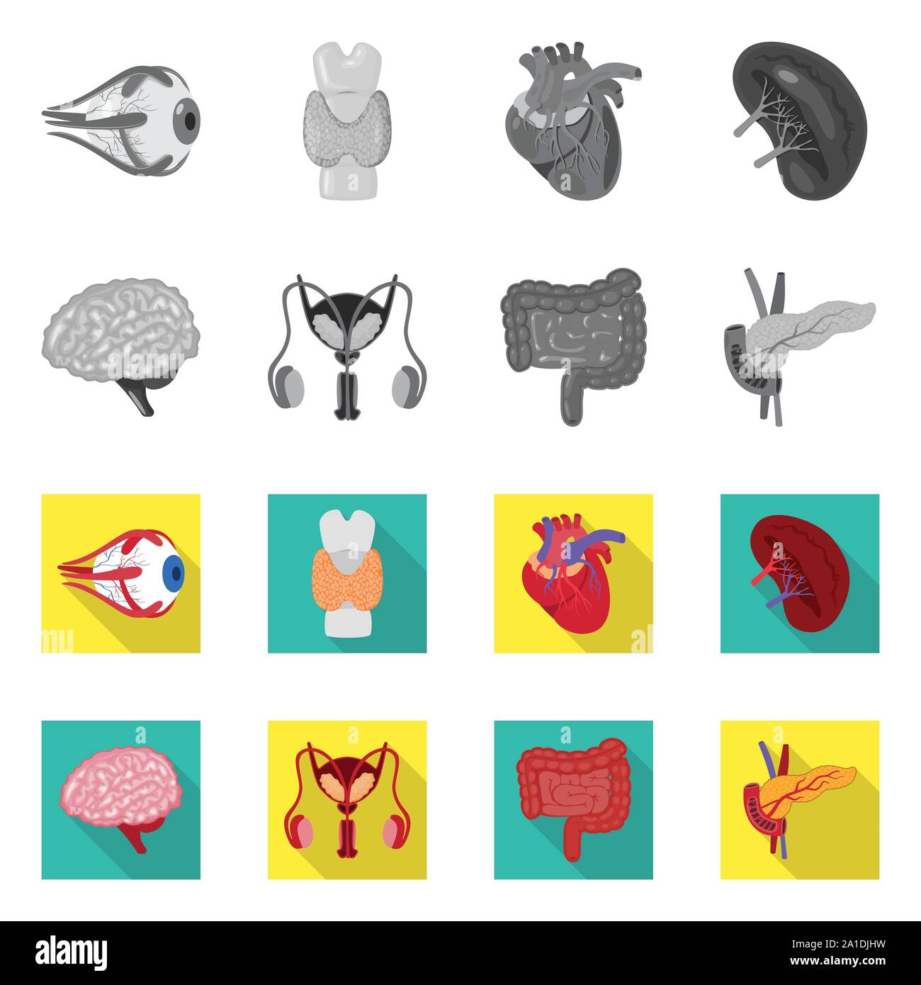 Vector illustration of biology and scientific symbol. Set of biology ...