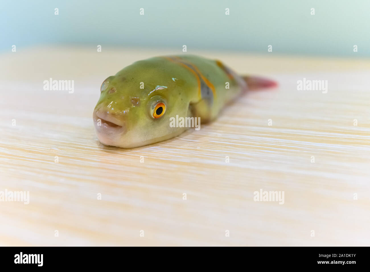 Fish body hi-res stock photography and images - Alamy