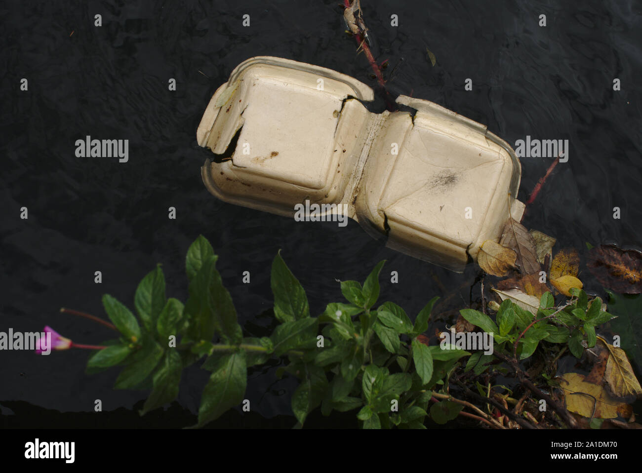 Discarded fast food packaging in canal. Birmingham. West Midlands ...