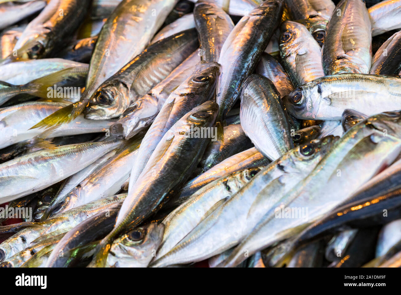 Sea fish background at the fish market close-up Stock Photo - Alamy