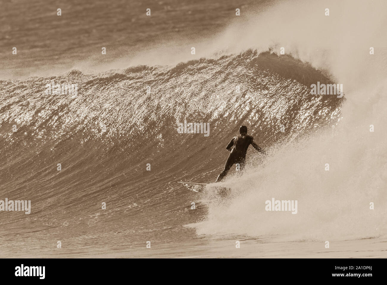 Surfing surfer rear behind photo bottom turning rides cold offshore ...