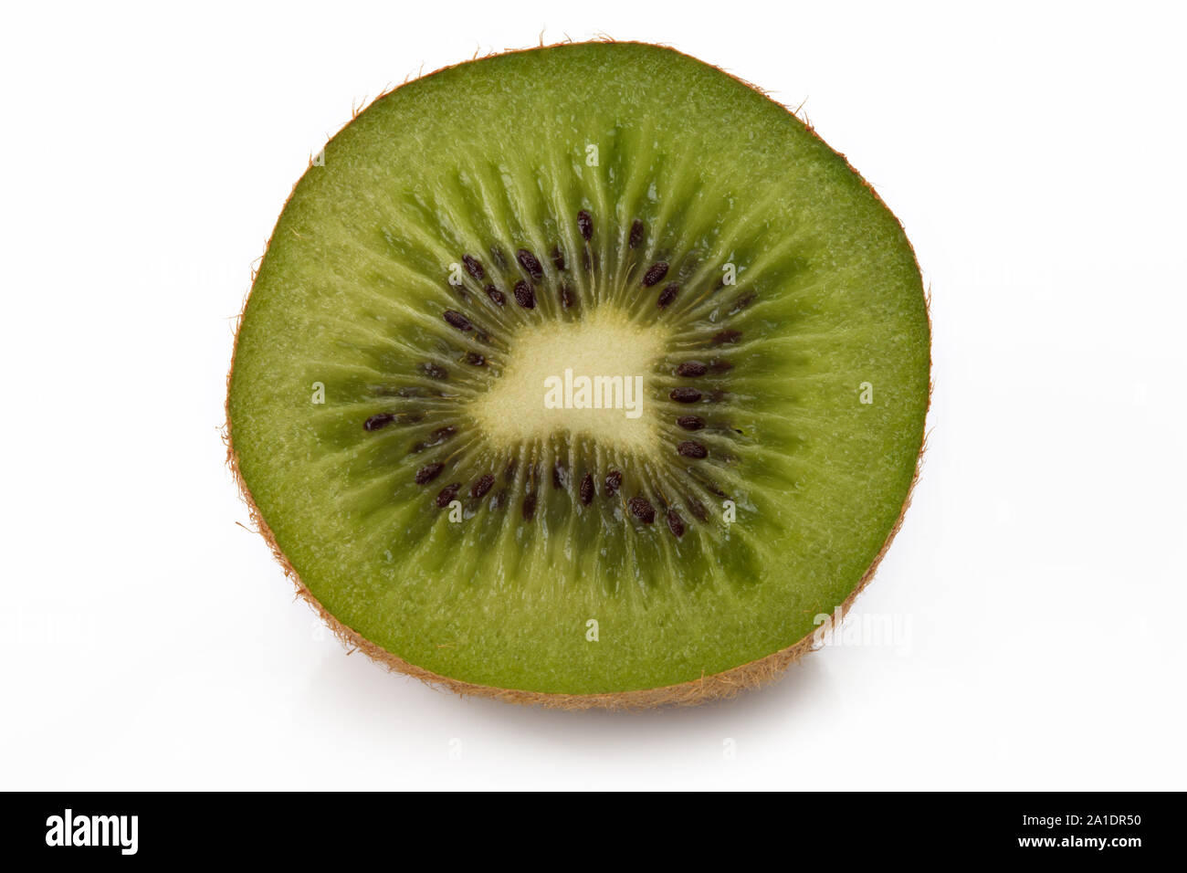 closeup of piece of kiwi, isolated on white background Stock Photo - Alamy