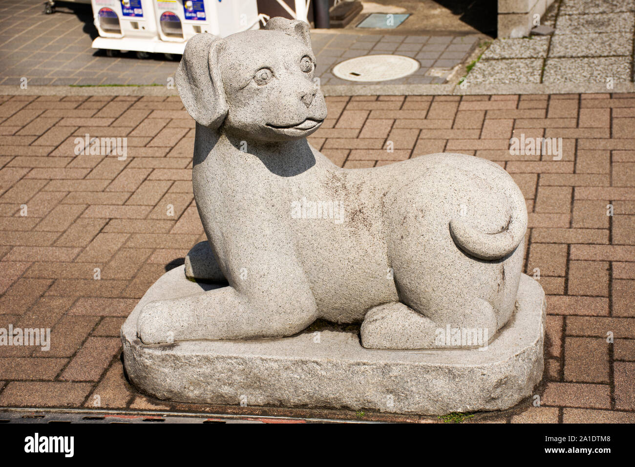 Rock Animal Carvings