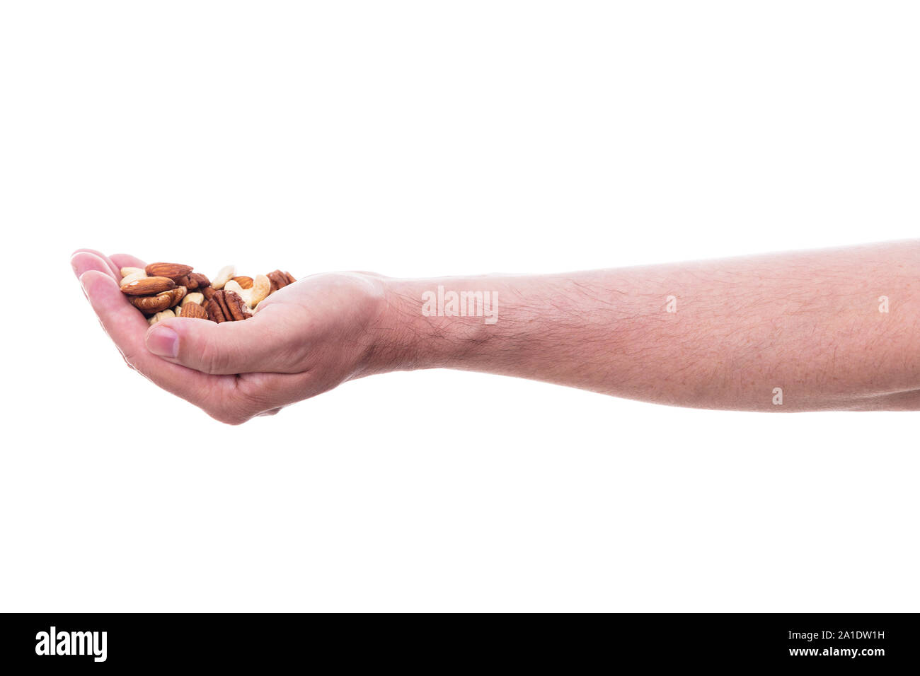 male hand is holding various nuts, isolated in front of white ...