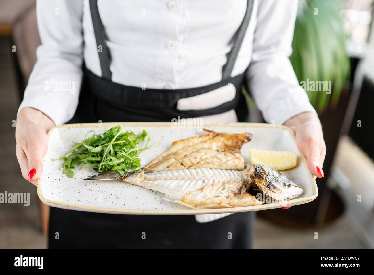 The waiter is holding a plate Dorado with arugula and lemon. BBQ ...