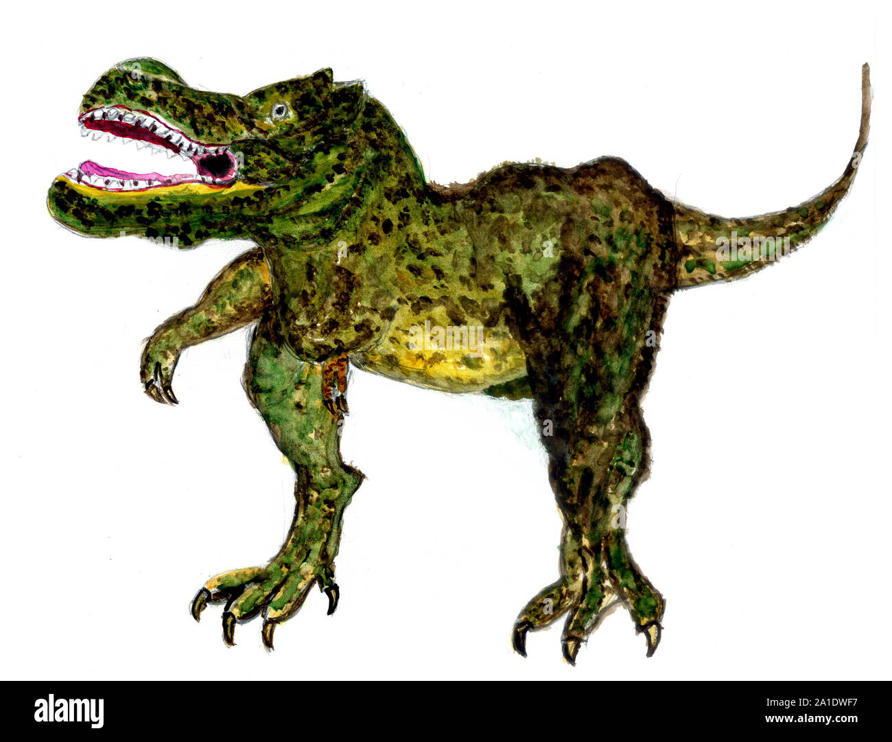 Fossil reptile, dinosaur painted in watercolors, hand drawn abstract ...