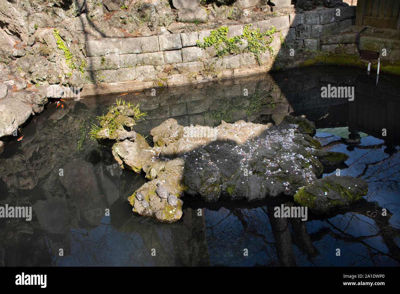 Tradition of throwing coins hi-res stock photography and images - Alamy