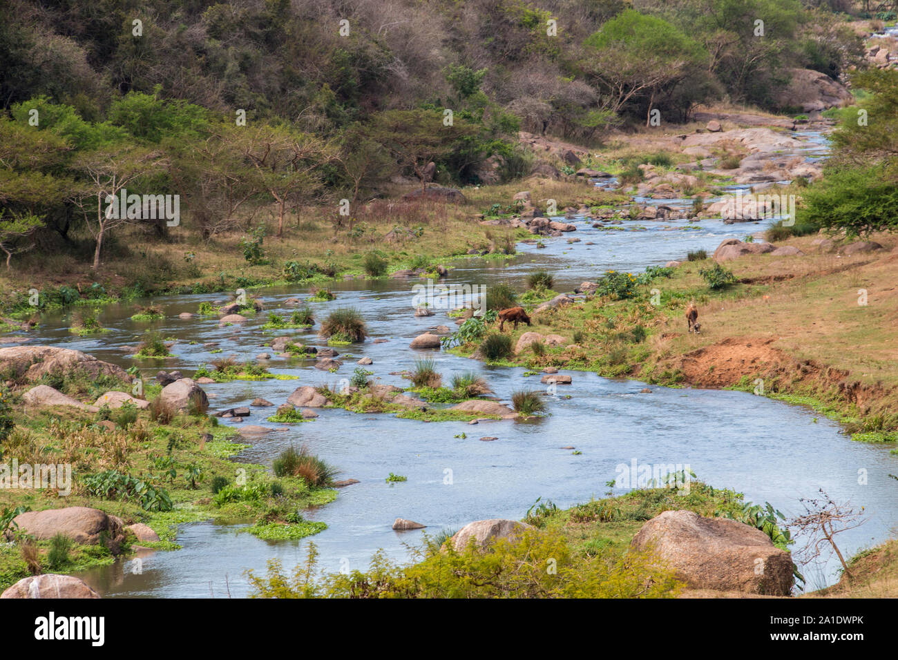 Umgeni river flowing through the valley of a thousand hills in kwazulu ...