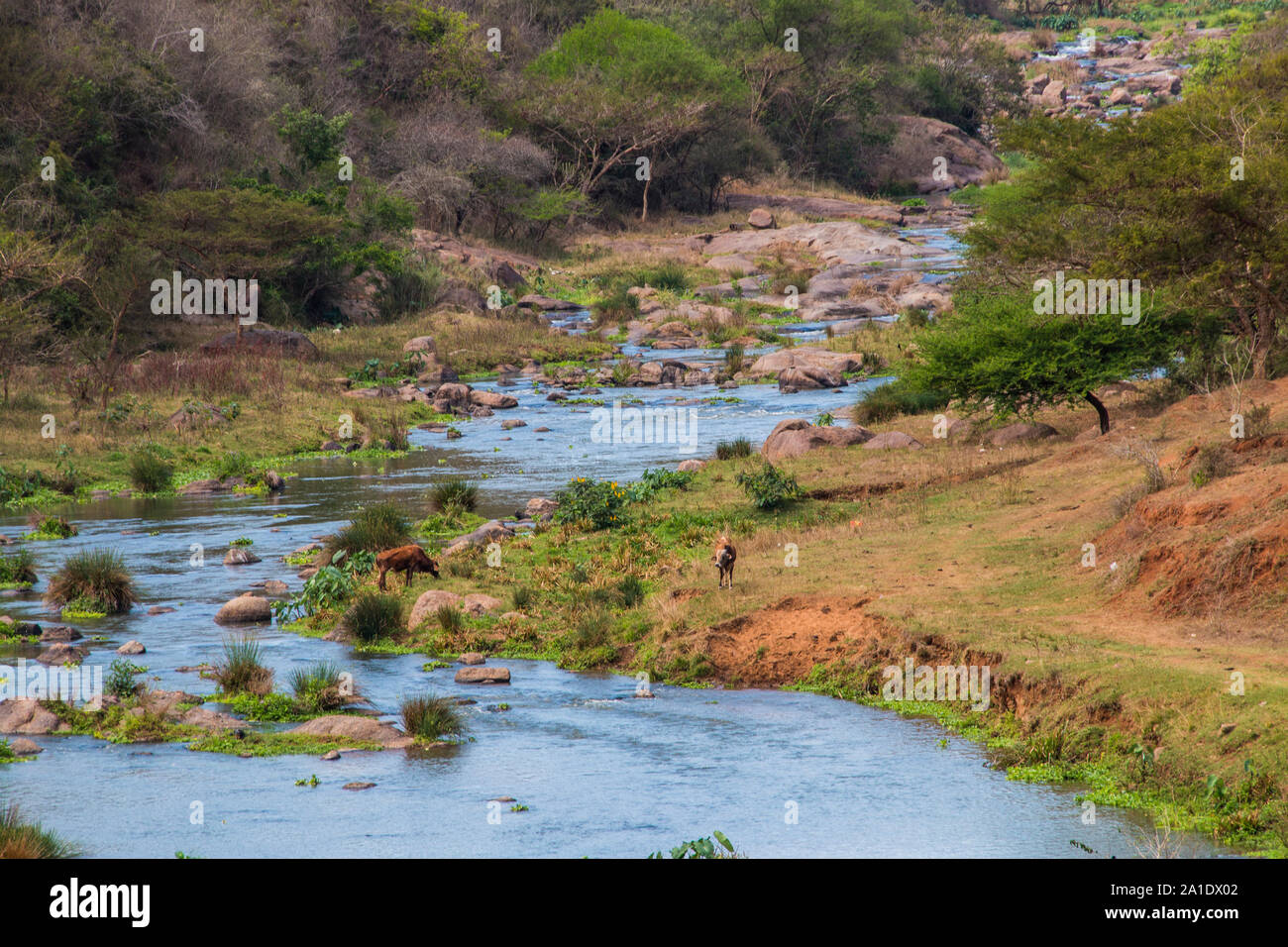 Umgeni river flowing through the valley of a thousand hills in kwazulu ...