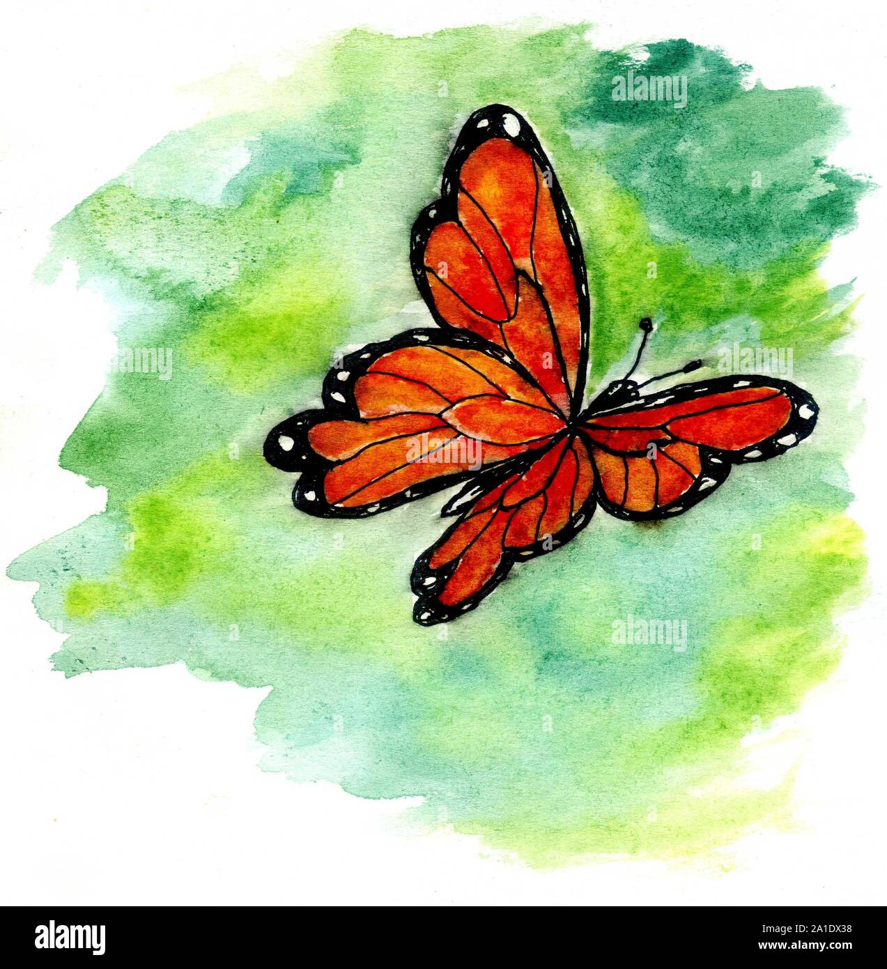 Watercolor of the bright butterfly, hand drawn illustration Stock Photo ...