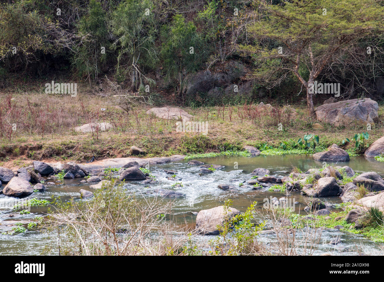 Umgeni river hi-res stock photography and images - Alamy