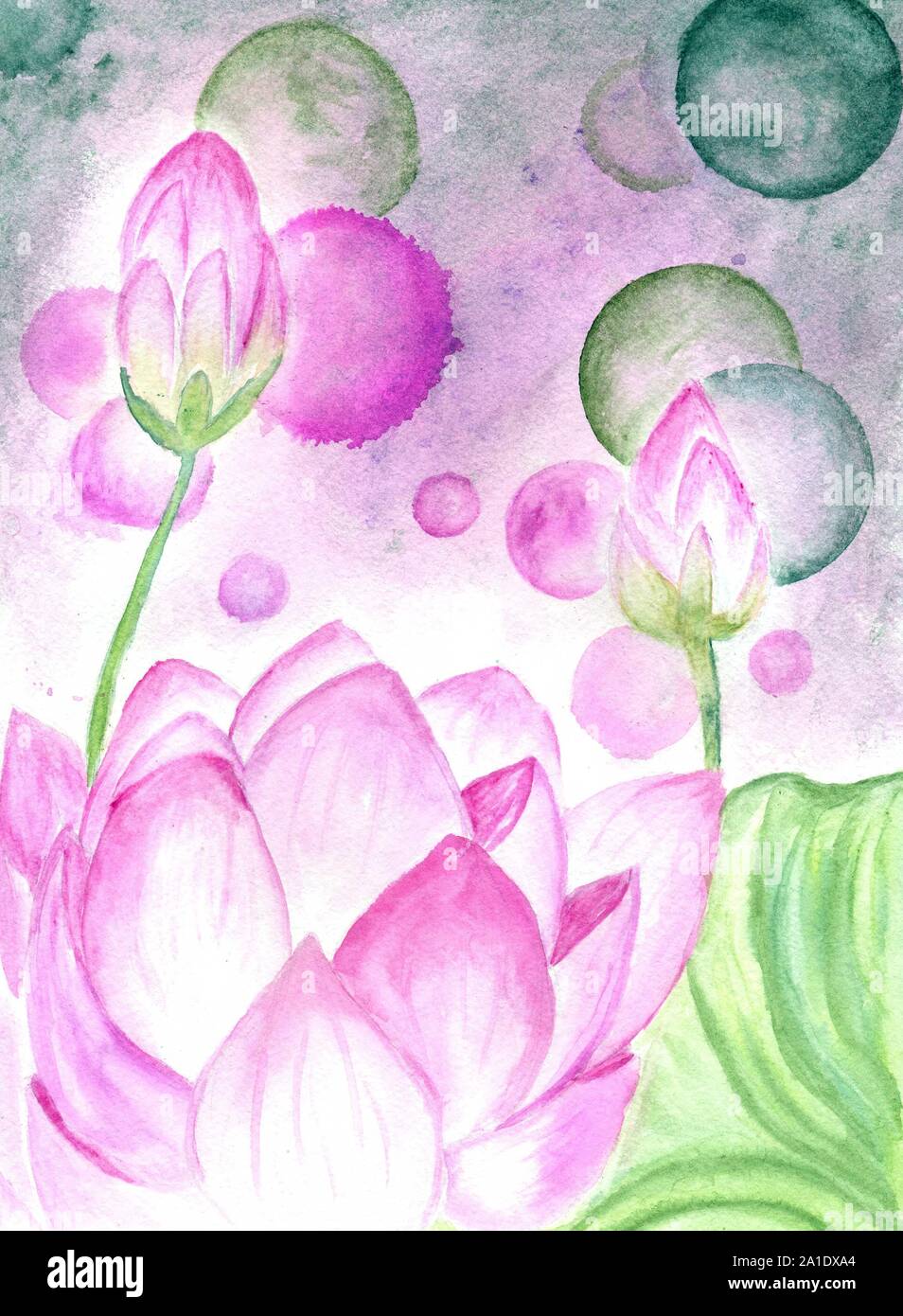 Water lily, lotus flower, watercolor painted illustration Stock Photo ...
