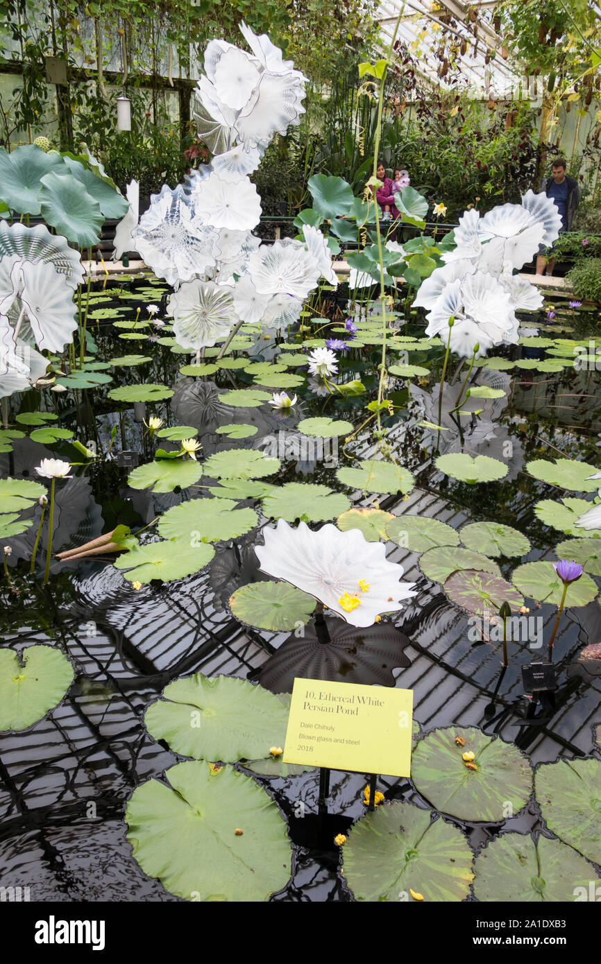 Dale Chihuly's Ethereal White Persian Pond sculpture in the Waterlily ...