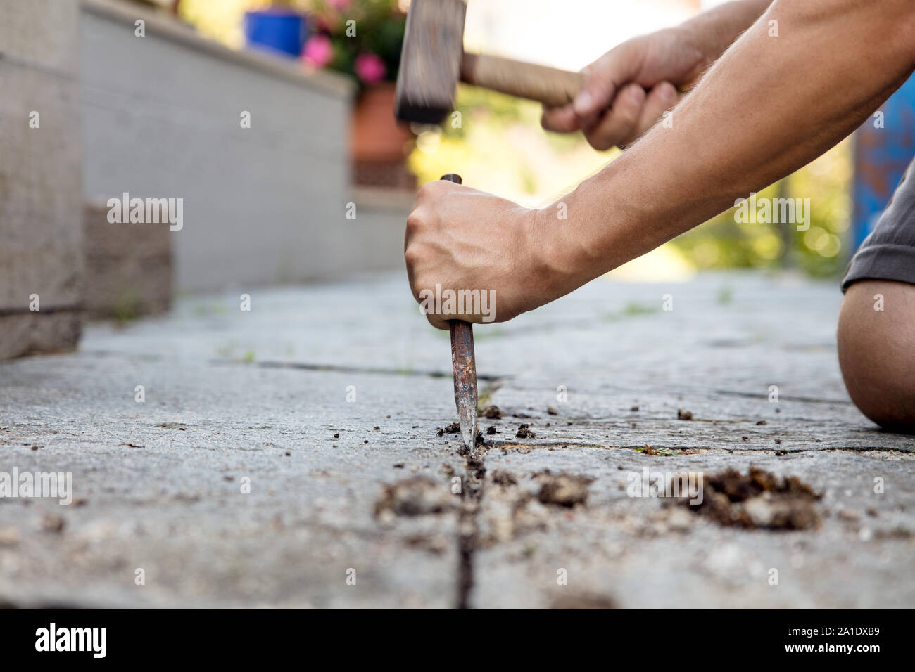 man is cleaning the mortar joints of a flagstone floor with stone mason ...