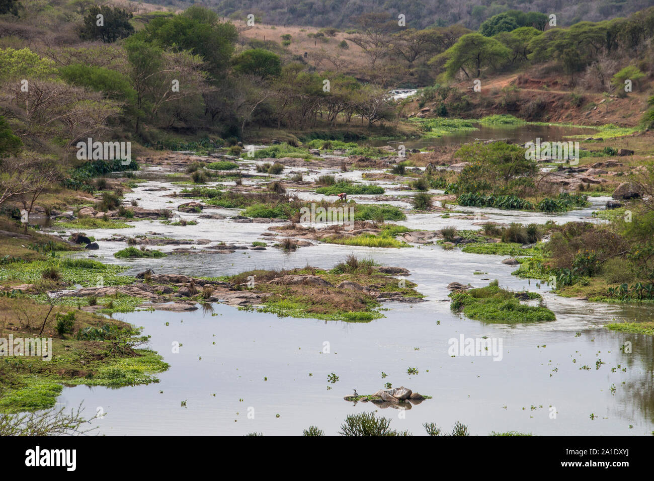 Umgeni river flowing through the valley of a thousand hills in kwazulu ...