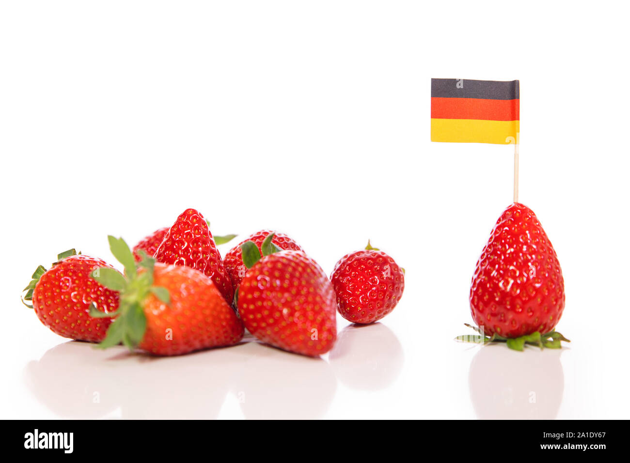 Cultivation and growing in Germany, Strawberries isolated on white ...