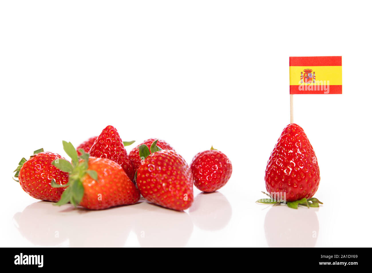 Cultivation and growing in Spain, Strawberries isolated on white ...