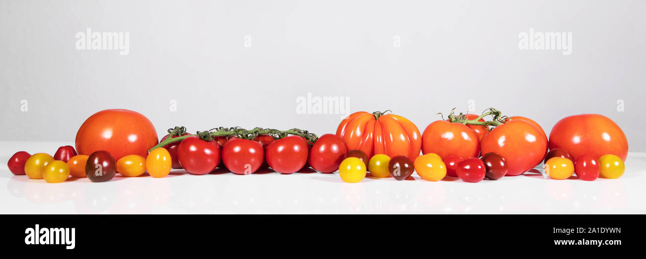 panorama with various tomatoes in front of a white and grey background ...