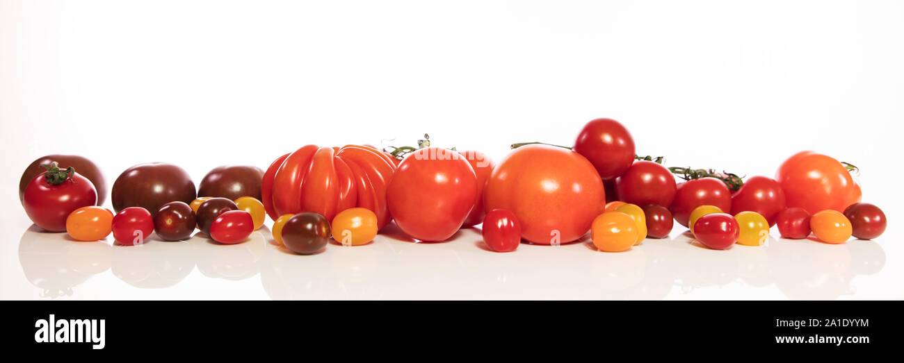 panorama with various tomatoes in front of white background Stock Photo ...