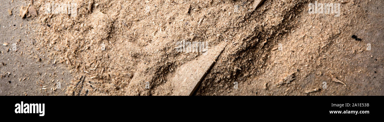 Sawdust floor hi-res stock photography and images - Alamy