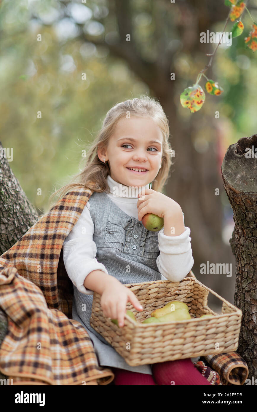 Child picking pears on farm in autumn. Little girl playing in pears ...