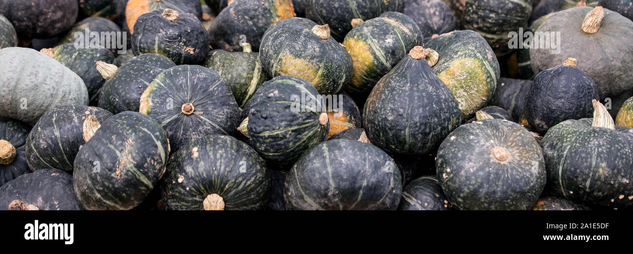 Blue kuri squash hi-res stock photography and images - Alamy