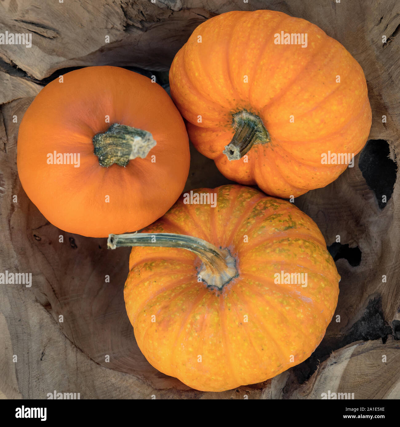 Three side dishes hi-res stock photography and images - Alamy