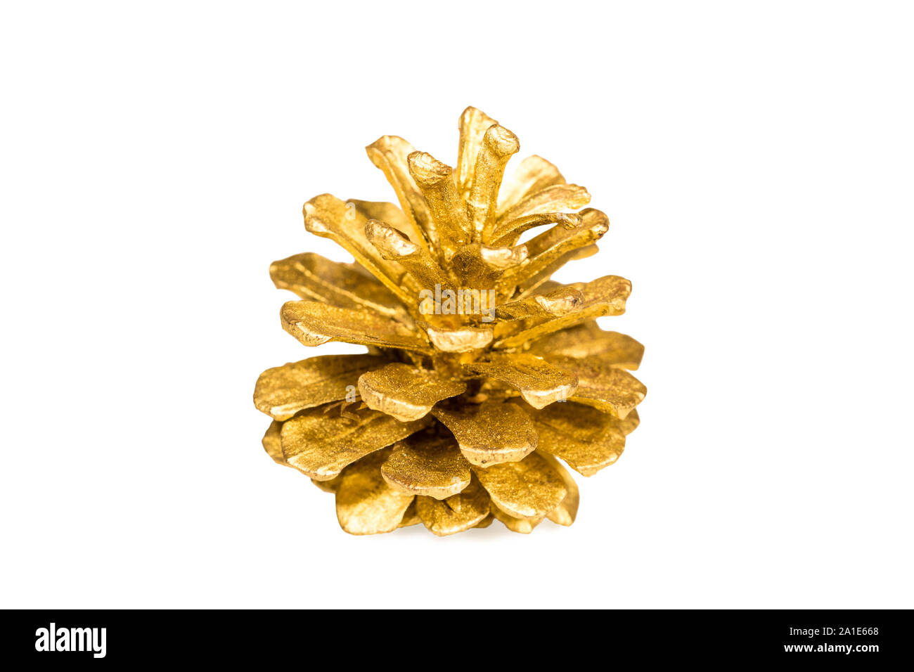 one golden fir cone, isolated on white background Stock Photo - Alamy