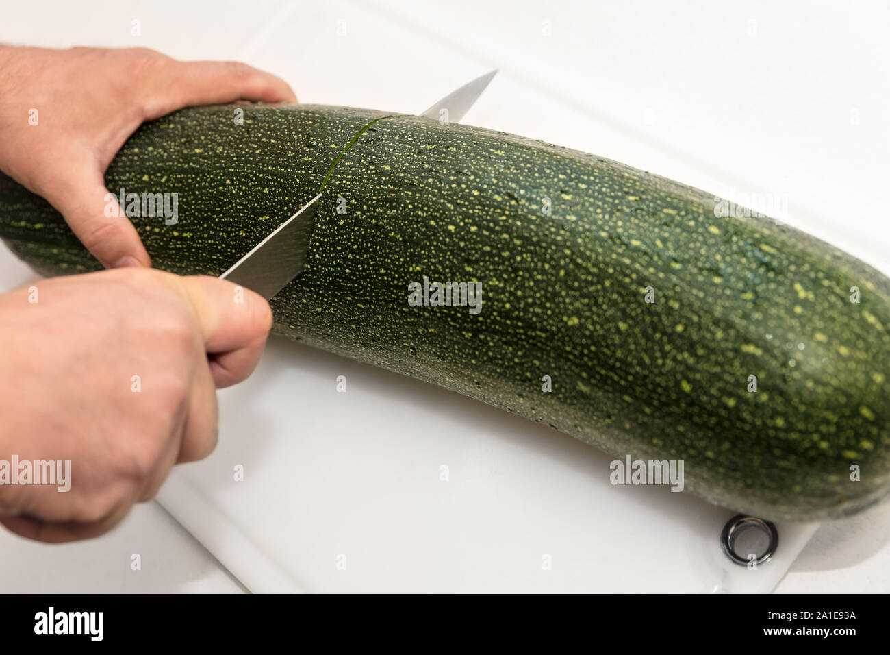 Man is cutting a giant zucchini or courgette on a white board ...