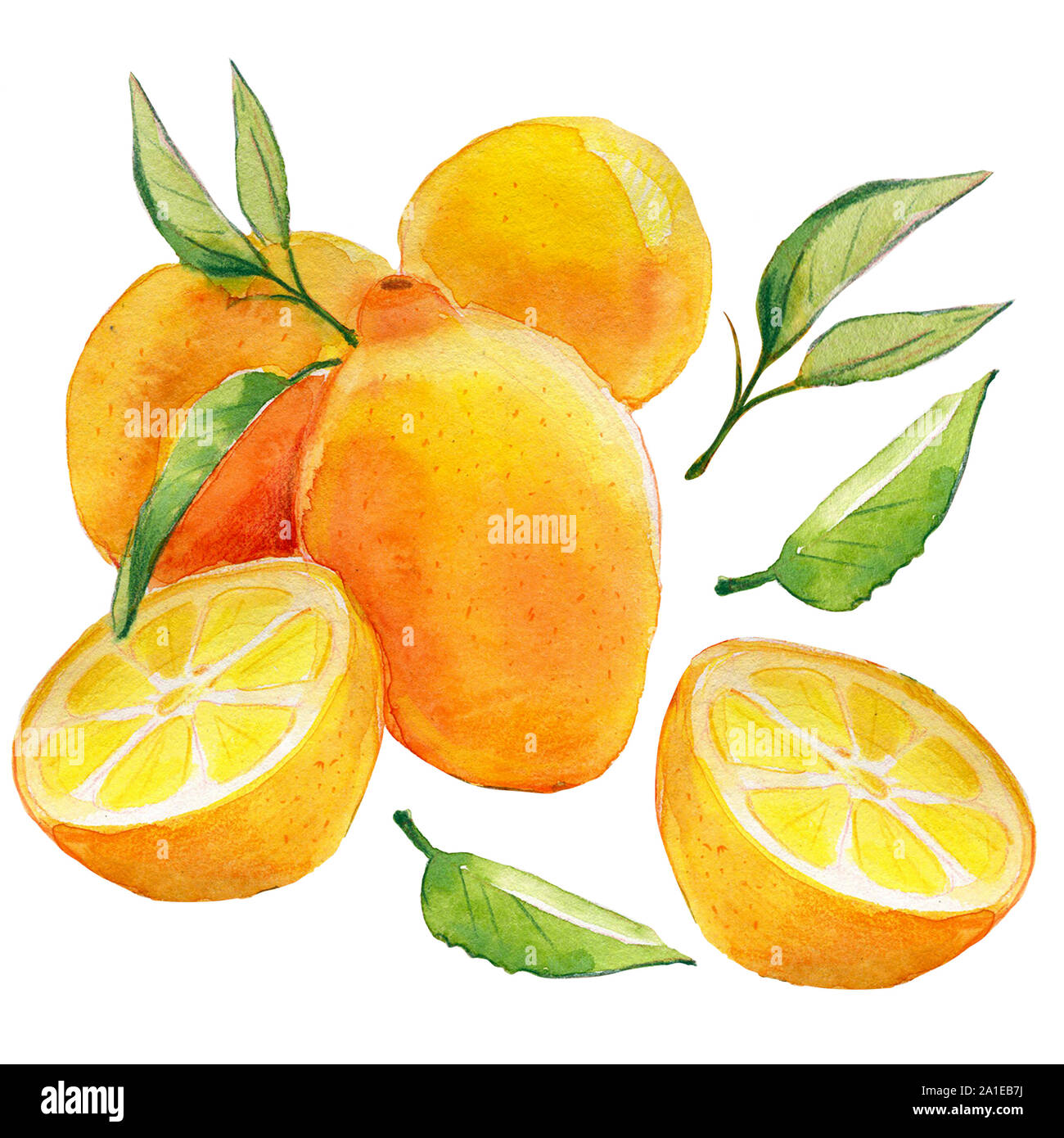 Lemons Seamless Pattern. Watercolor square frame of lemons and branches ...