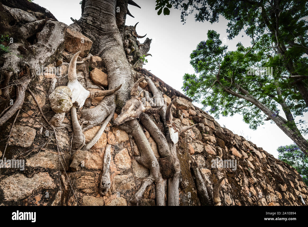 Cultural identity of the people of madagascar hi-res stock photography ...
