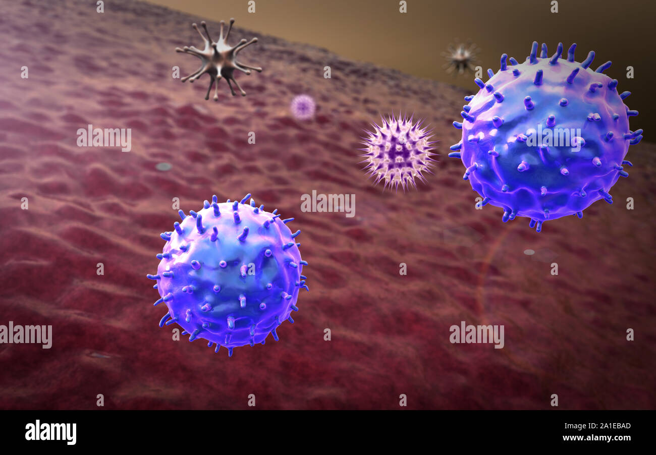 macrophages kills the viruses, inside human body, Medical video ...
