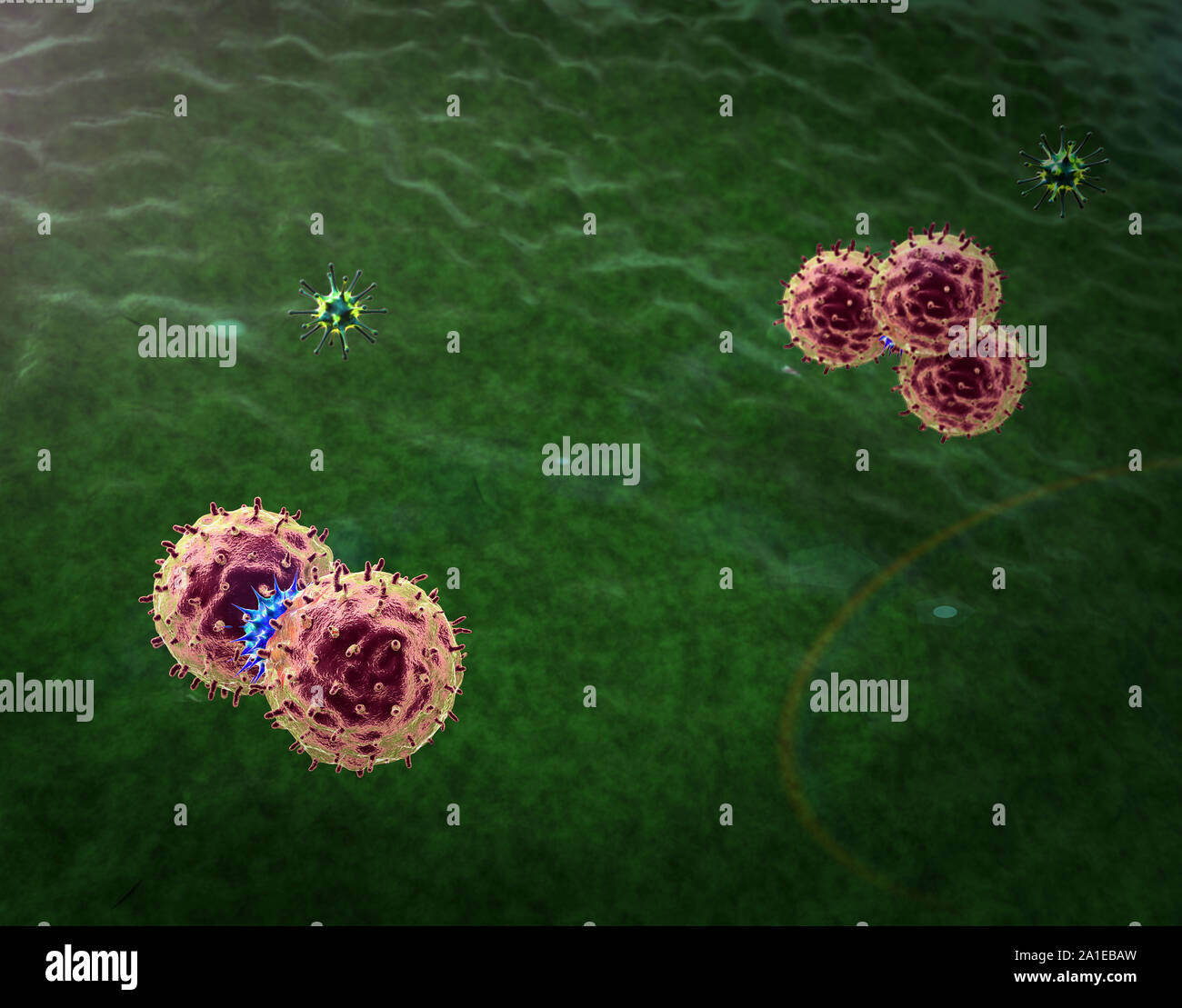 macrophages kills the viruses, inside human body, Medical video ...