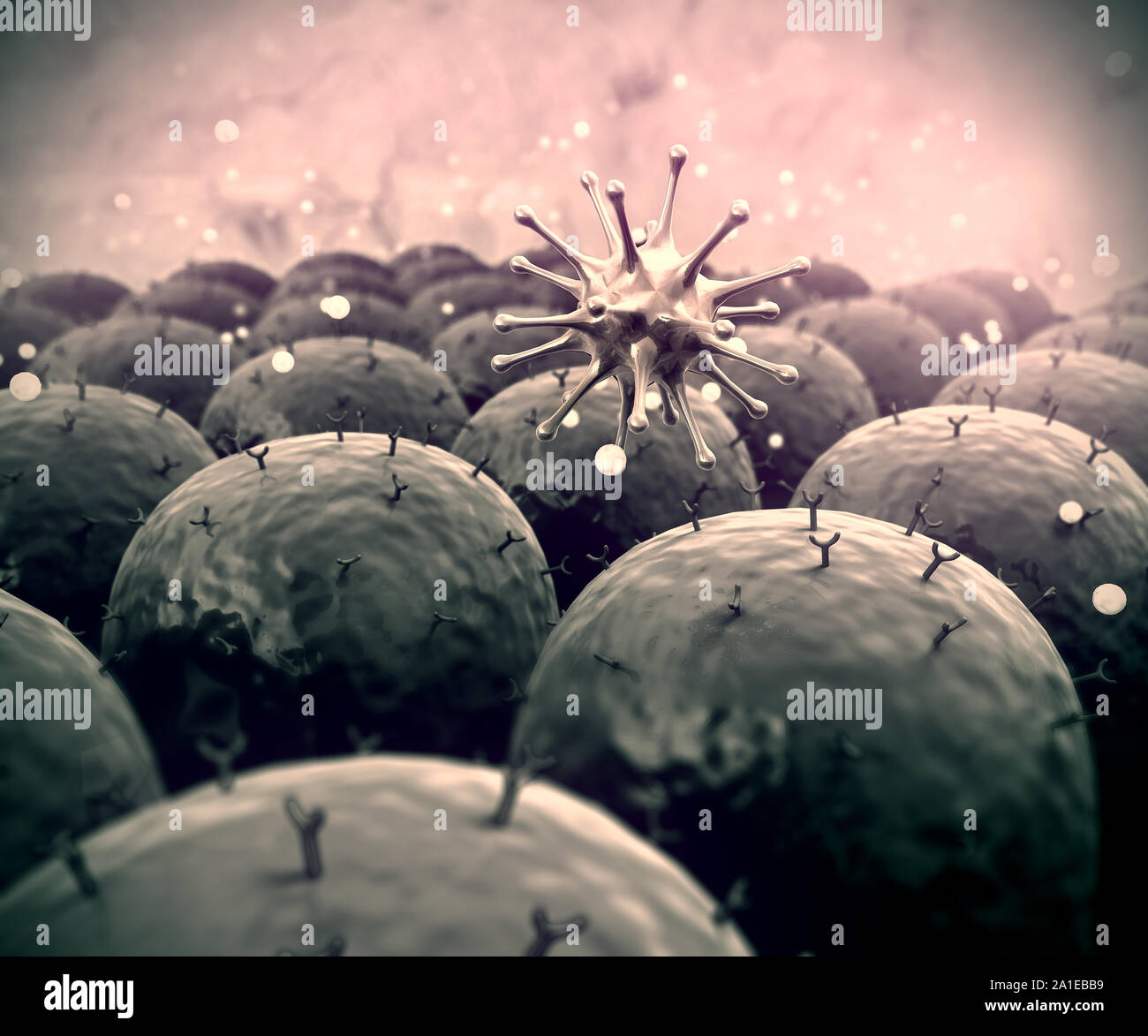 leukocytes and viruses, field of cells with receptors, Human Immune ...